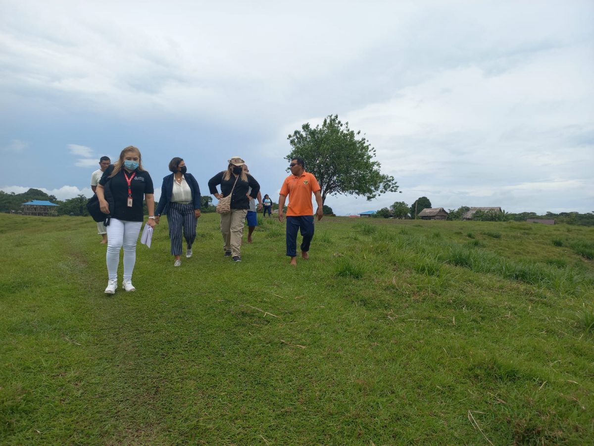 Todas las noticias - SENNIAF